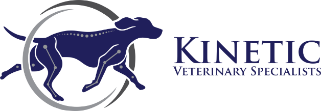 Kinetic Veterinary Services | Comprehensive Veterinary Care Kinetic Vets